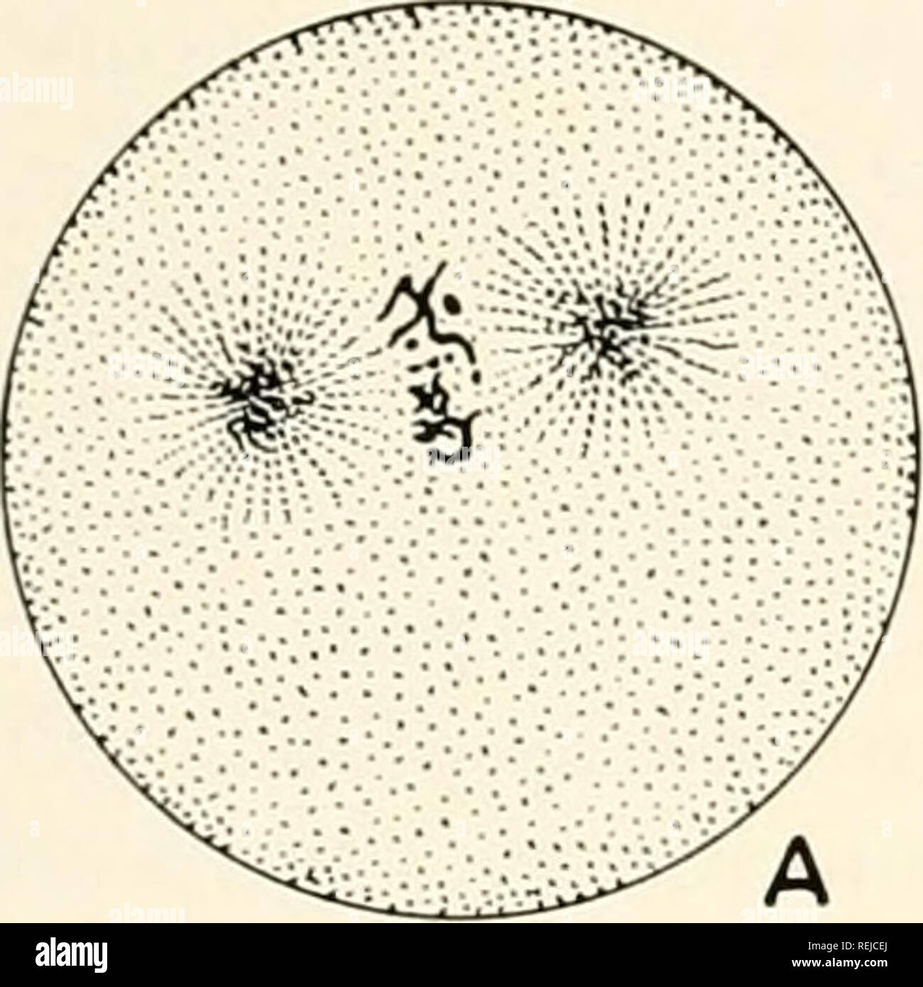 Submicroscopic hi-res stock photography and images - Alamy