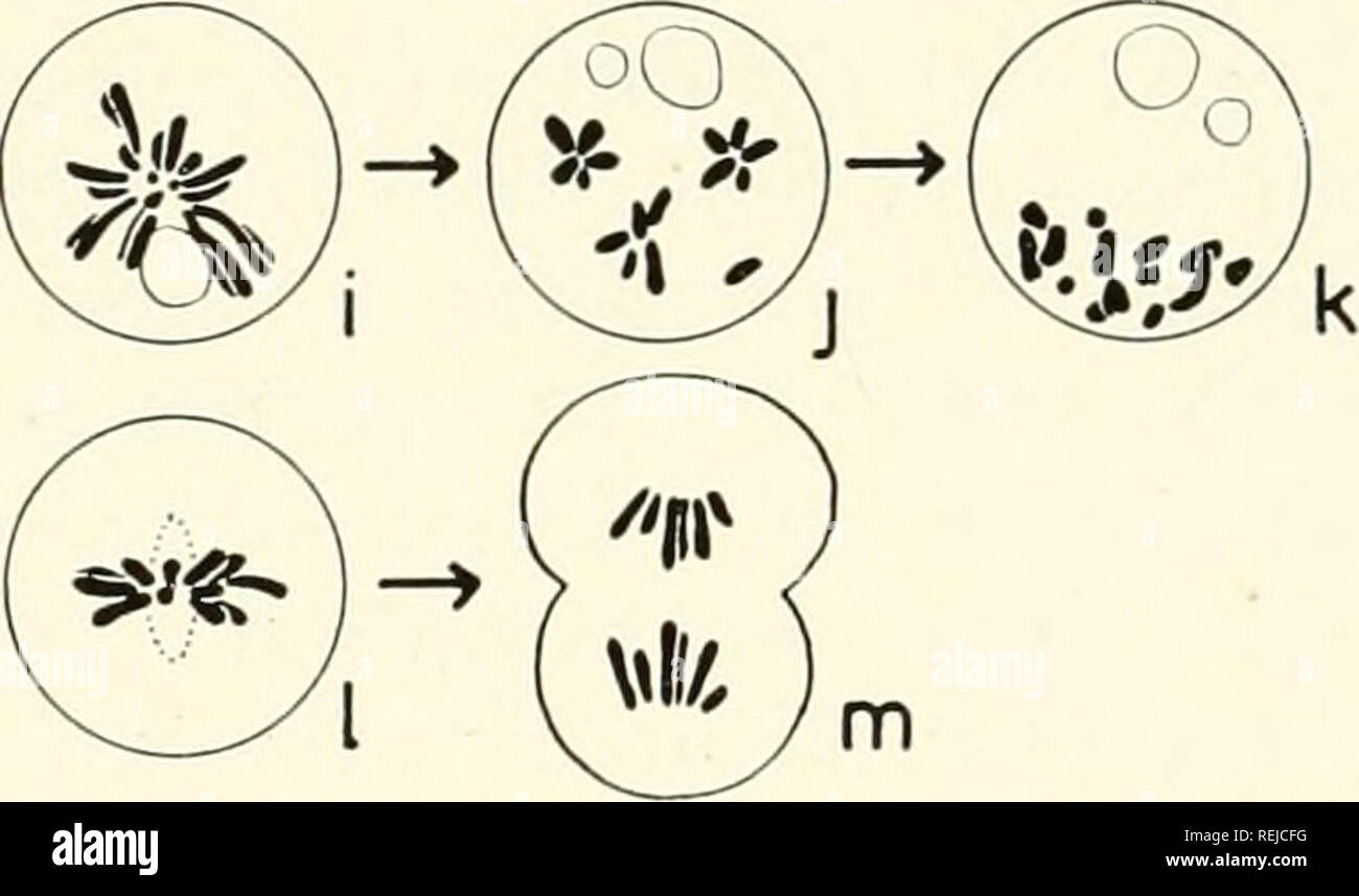 . Colchicine in agriculture, medicine, biology, and chemistry ...
