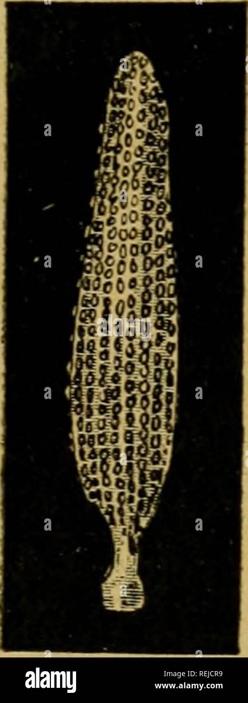 Al granger hi-res stock photography and images - Alamy