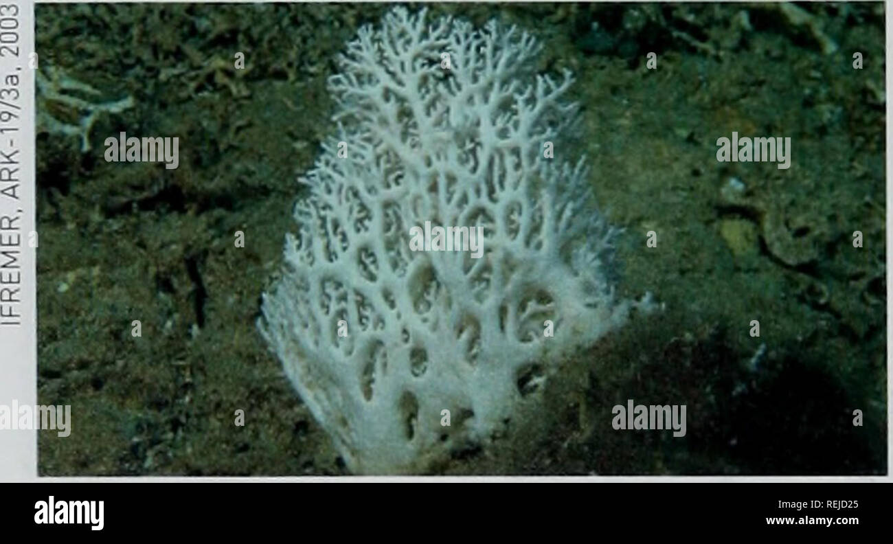 . Cold-water Coral Reefs: out of sight - no longer out of mind. UNEP ...