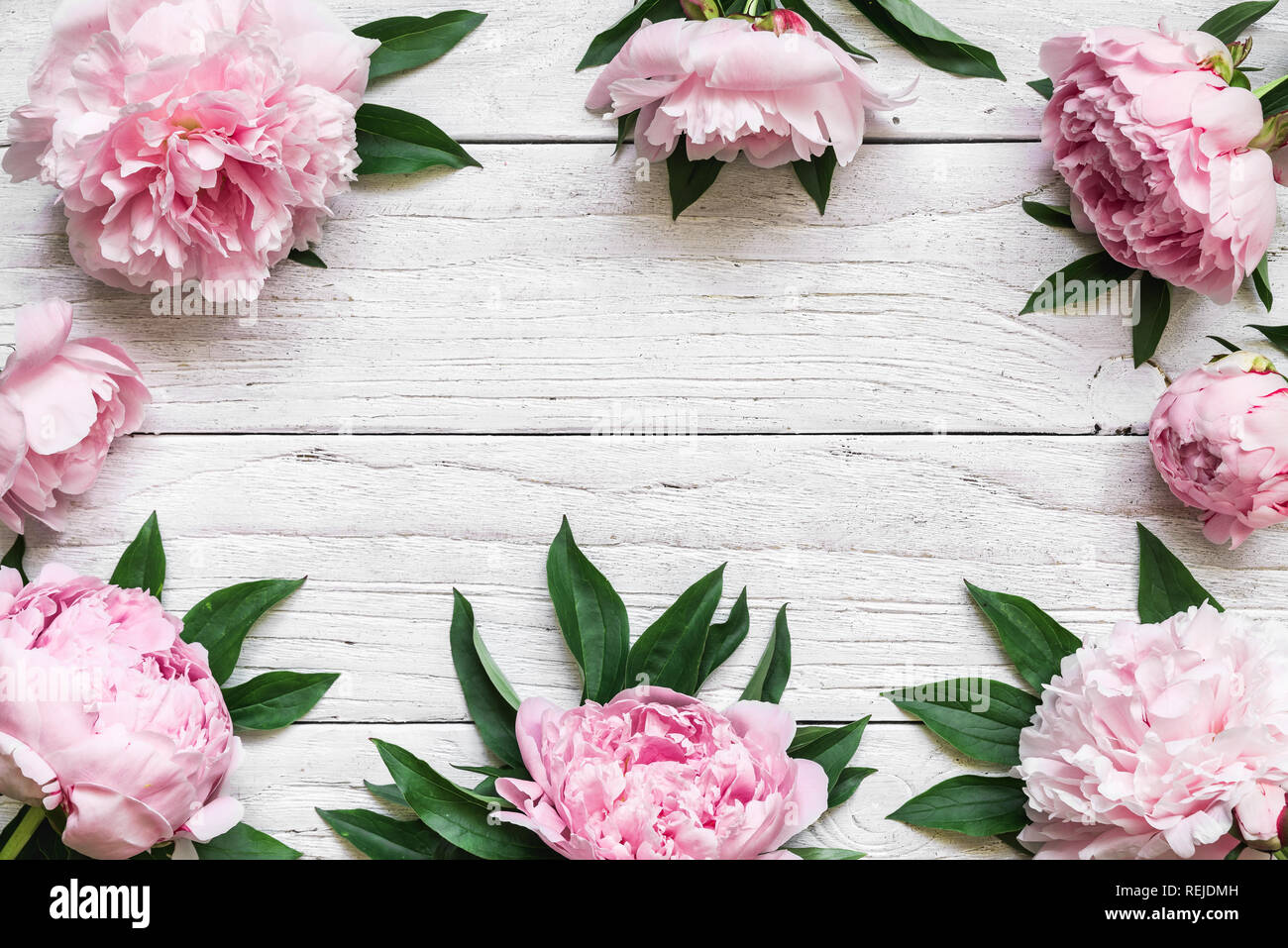 Peony Frame High Resolution Stock Photography and Images - Alamy
