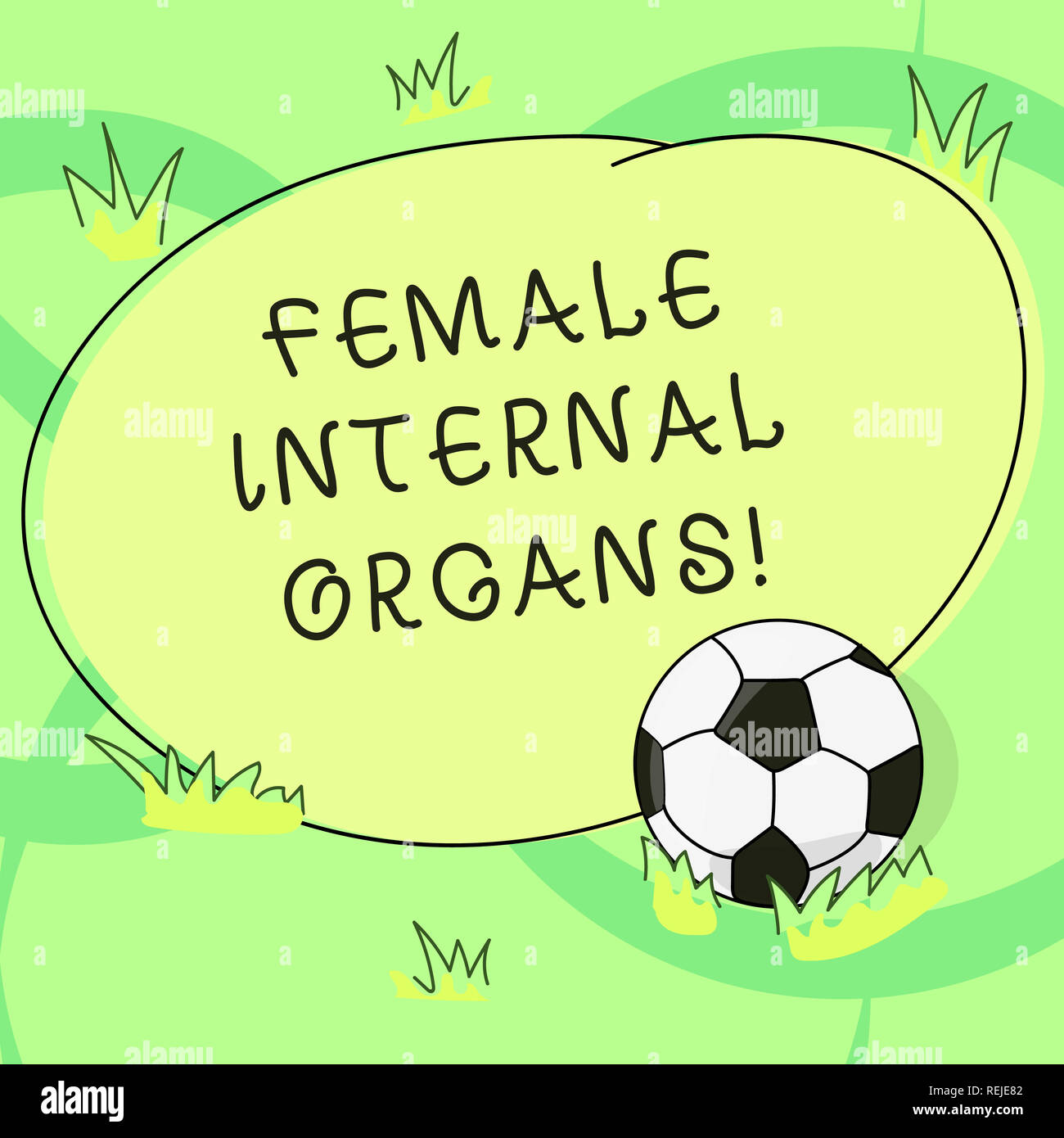 Writing note showing Female Internal Organs. Business photo showcasing ...