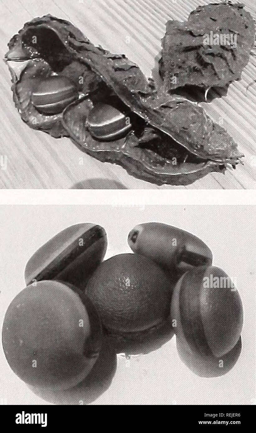 . Coast watch. Marine resources; Oceanography; Coastal zone management ...