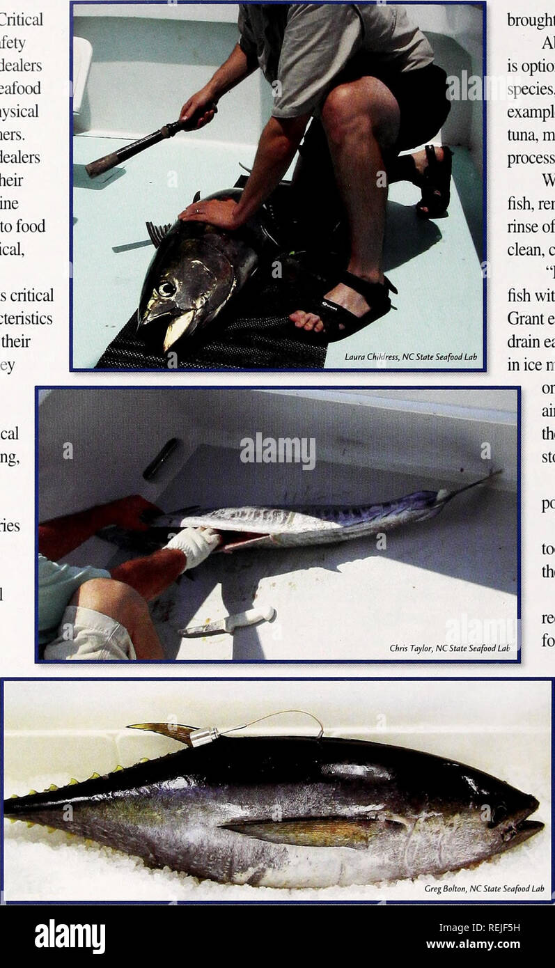 Identify hazards hi-res stock photography and images - Alamy