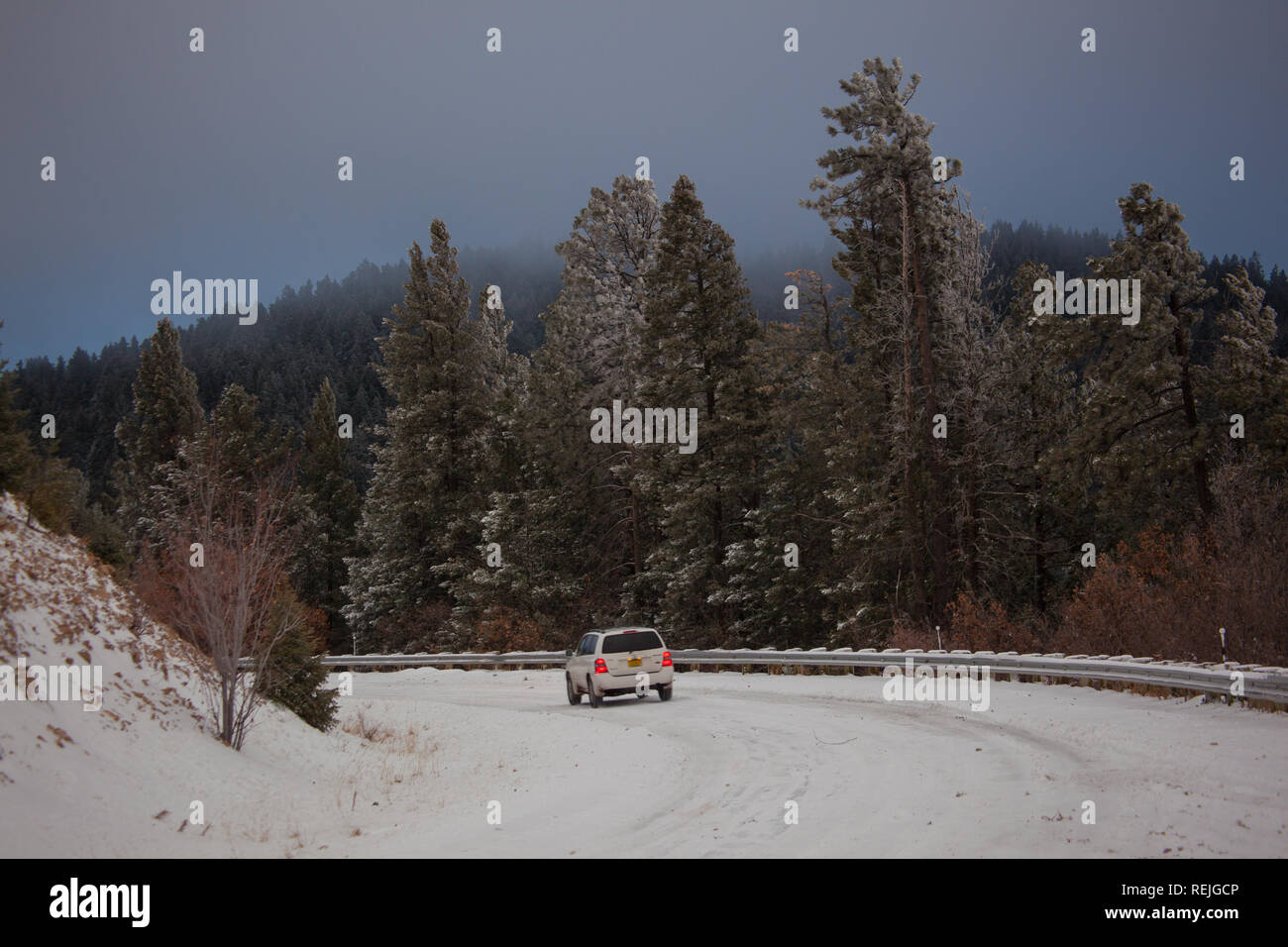 Lincoln National Forest, Otero County, New Mexico, USA Stock Photo - Alamy