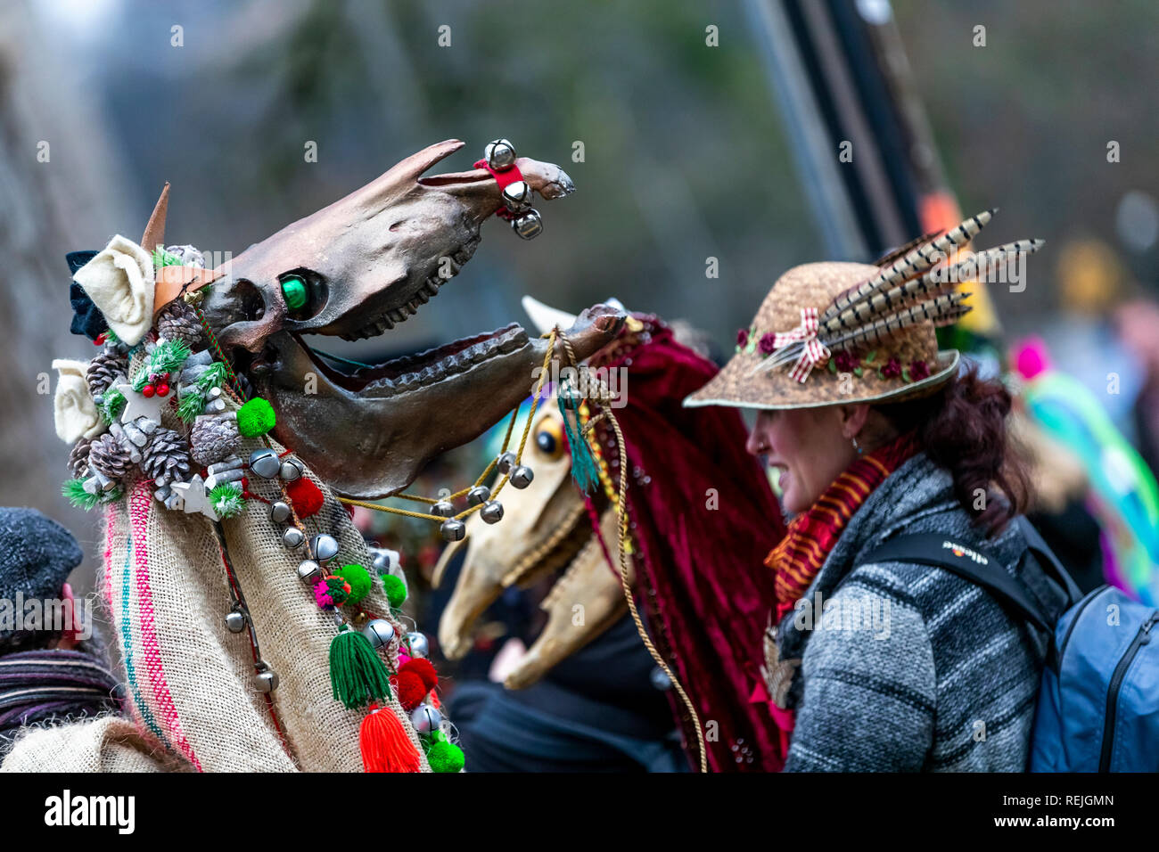 Chepstow wassail and mari lwyd 2019 hi-res stock photography and images ...