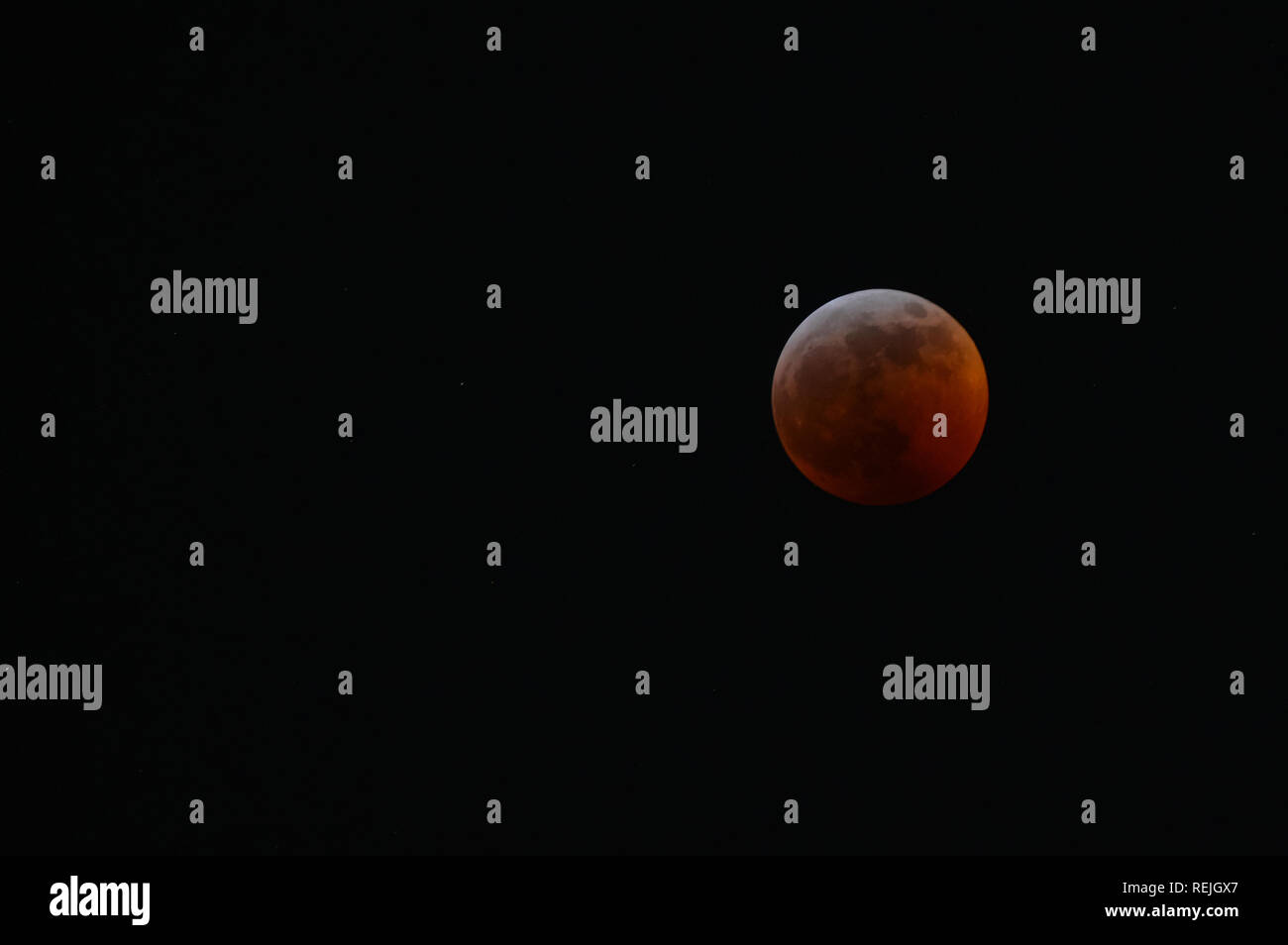 Blood red wolf moon eclipse hi-res stock photography and images - Alamy