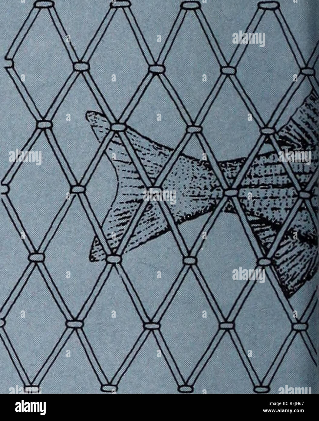 Trawl doors hi-res stock photography and images - Alamy