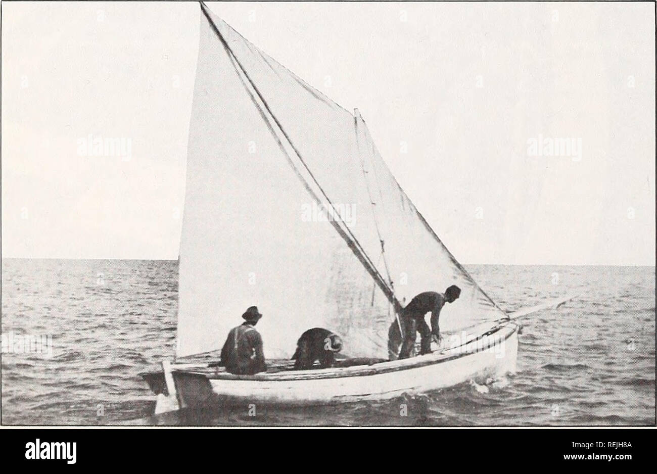 Passive fishing methods hi-res stock photography and images - Alamy