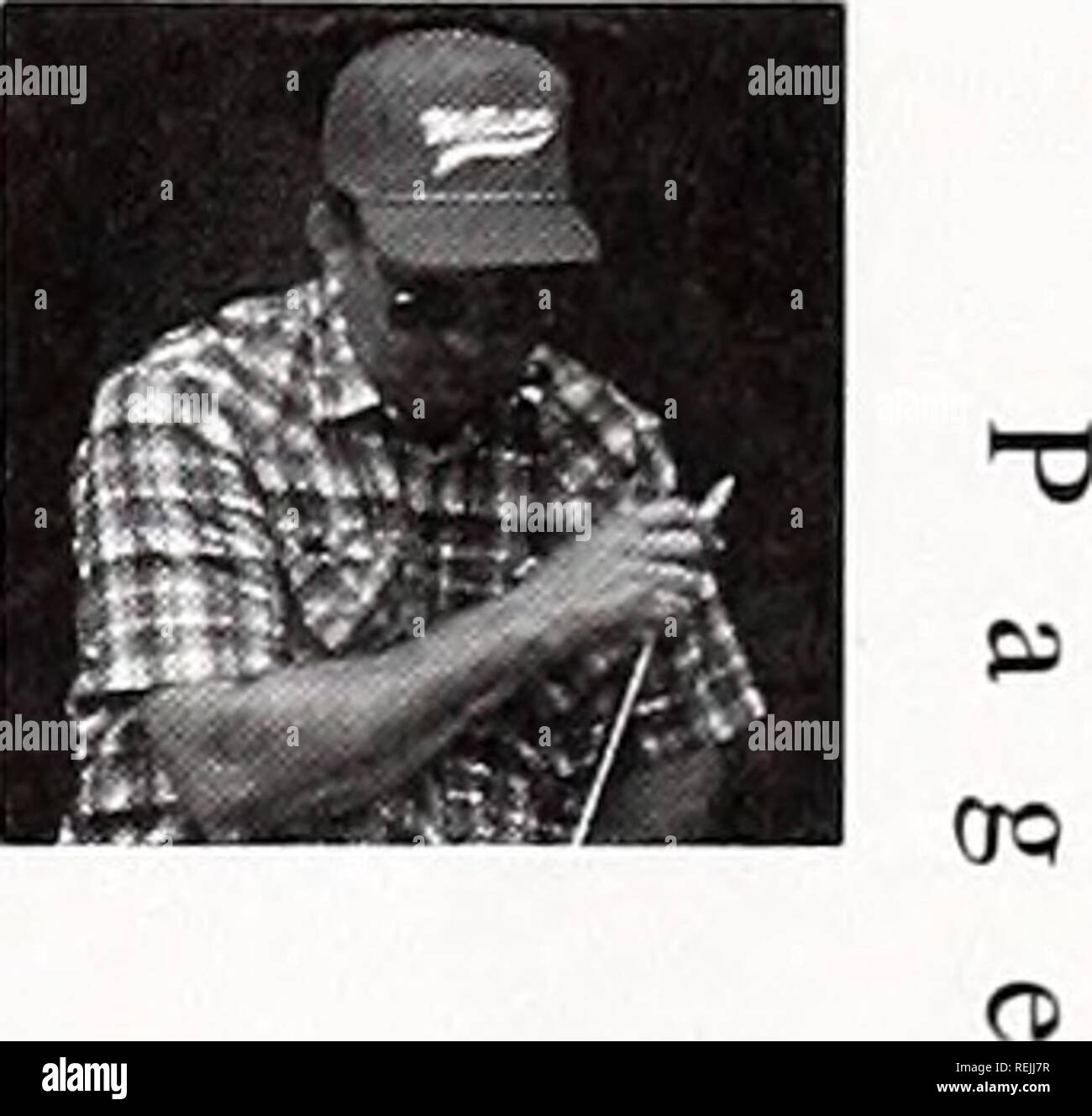 Stumpy point hi-res stock photography and images - Alamy