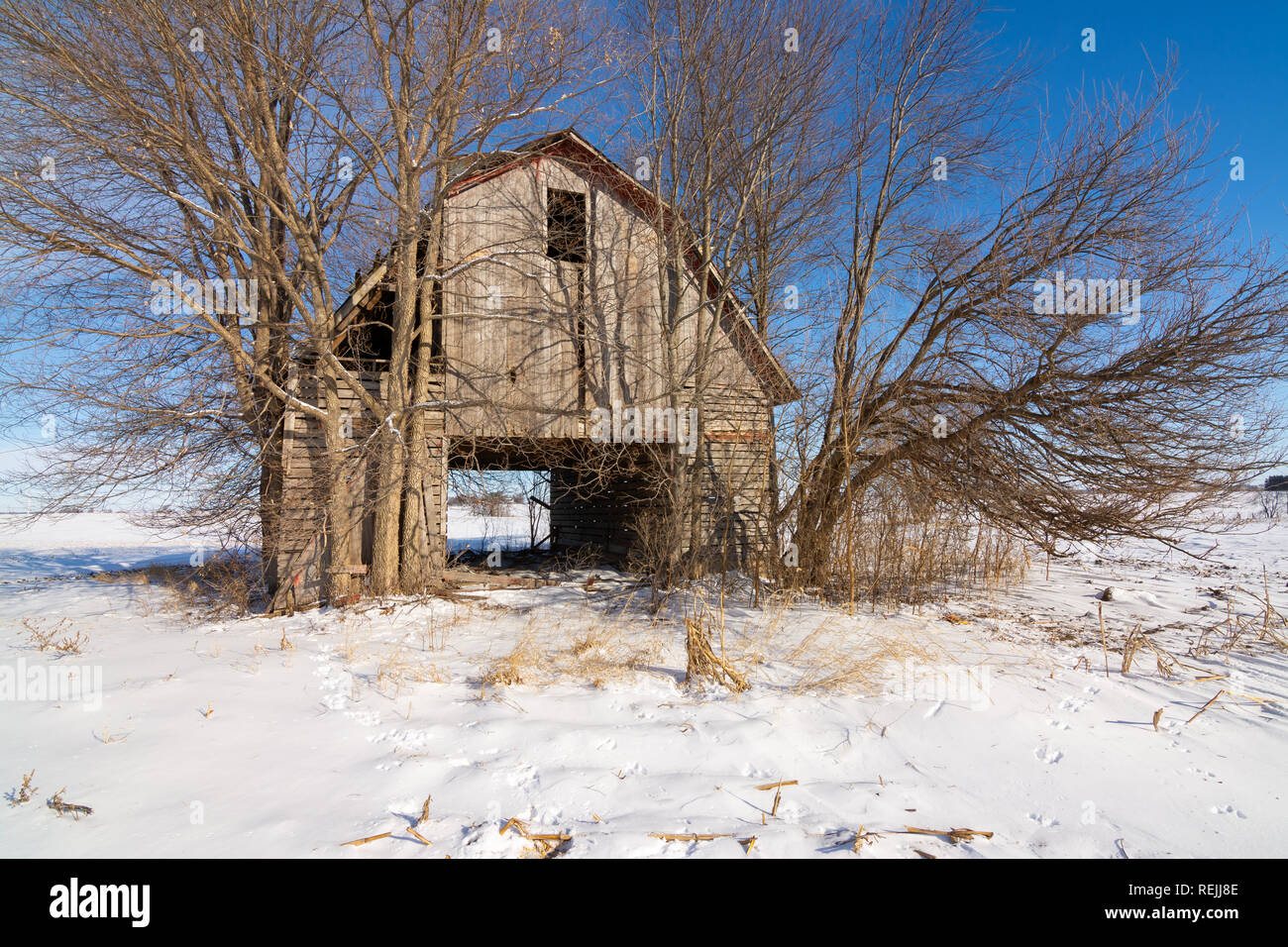 Old weathered barn in the snow covered field in rural Illinois Stock ...