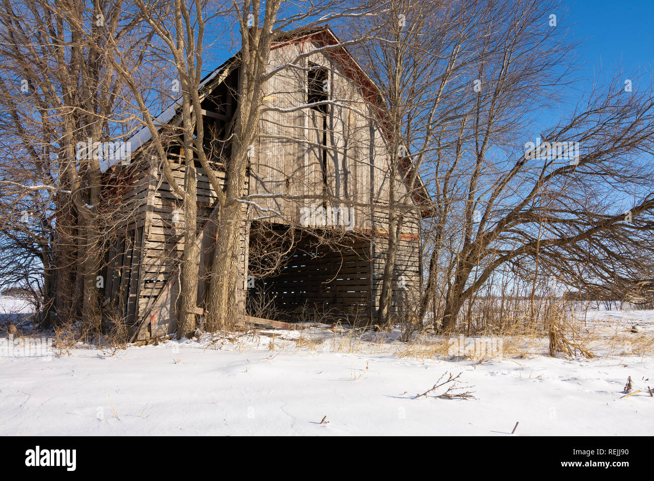 Old weathered barn in the snow covered field in rural Illinois Stock ...