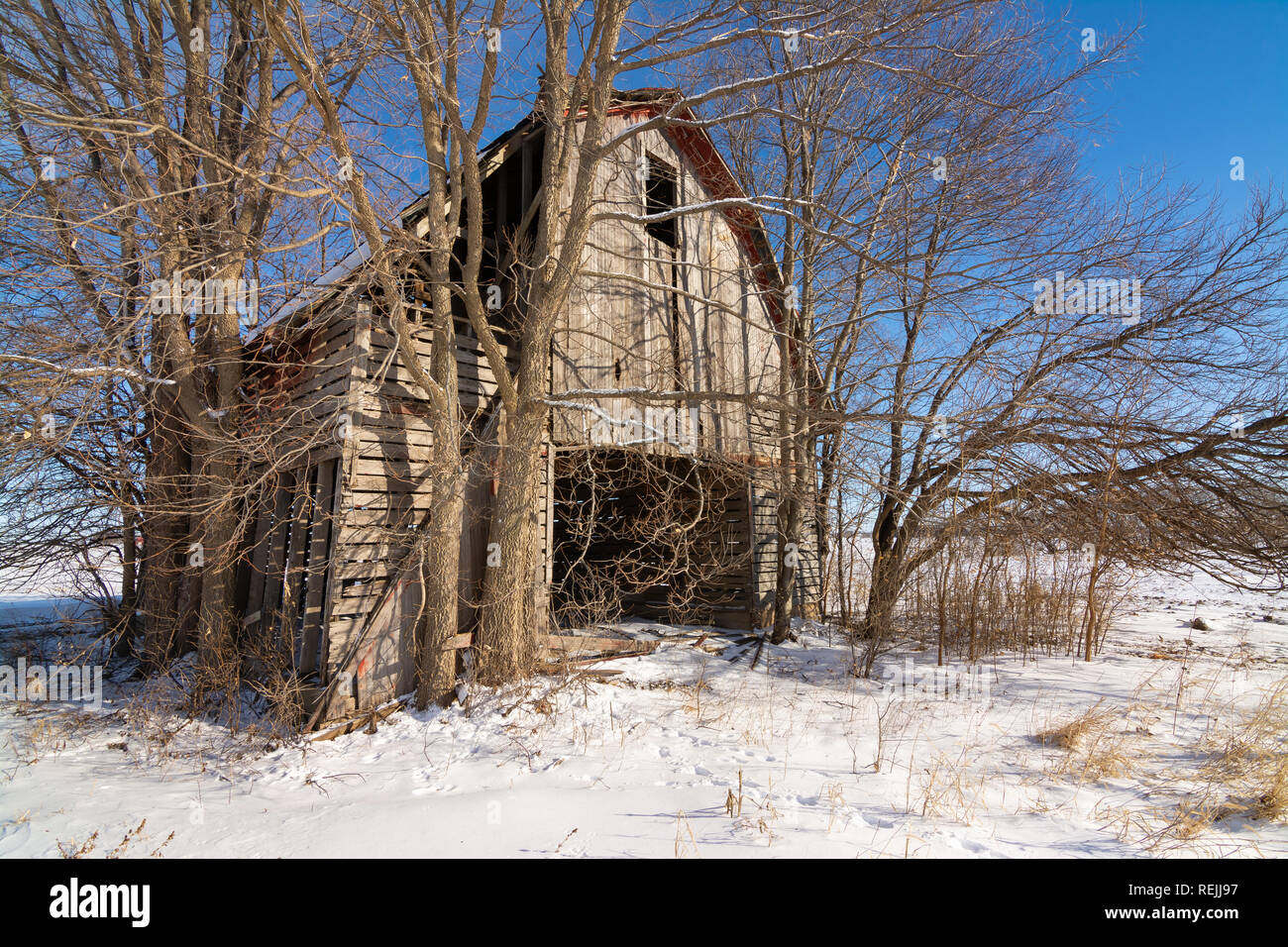 Old weathered barn in the snow covered field in rural Illinois Stock ...