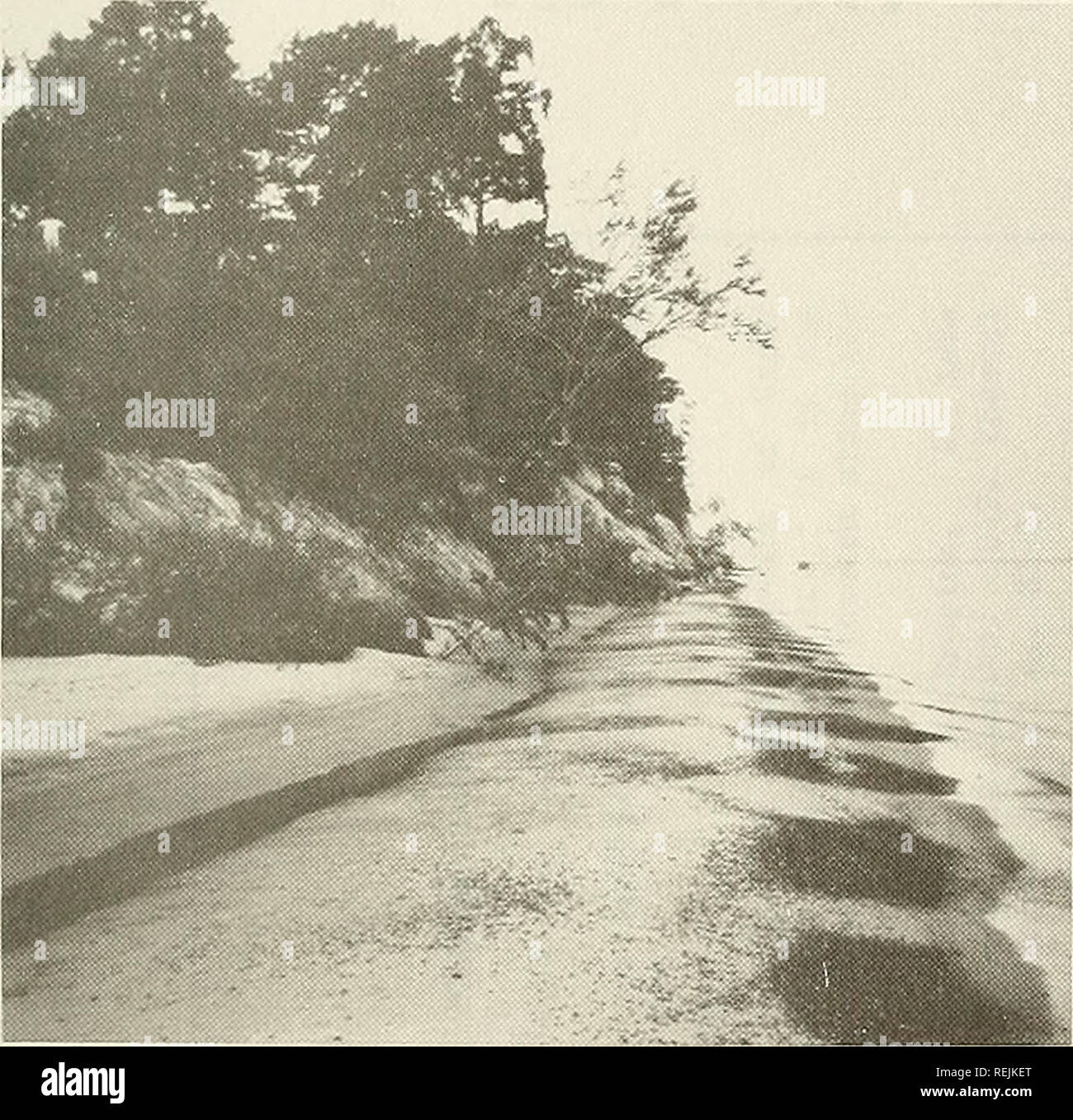 Coastal slumping hi-res stock photography and images - Alamy