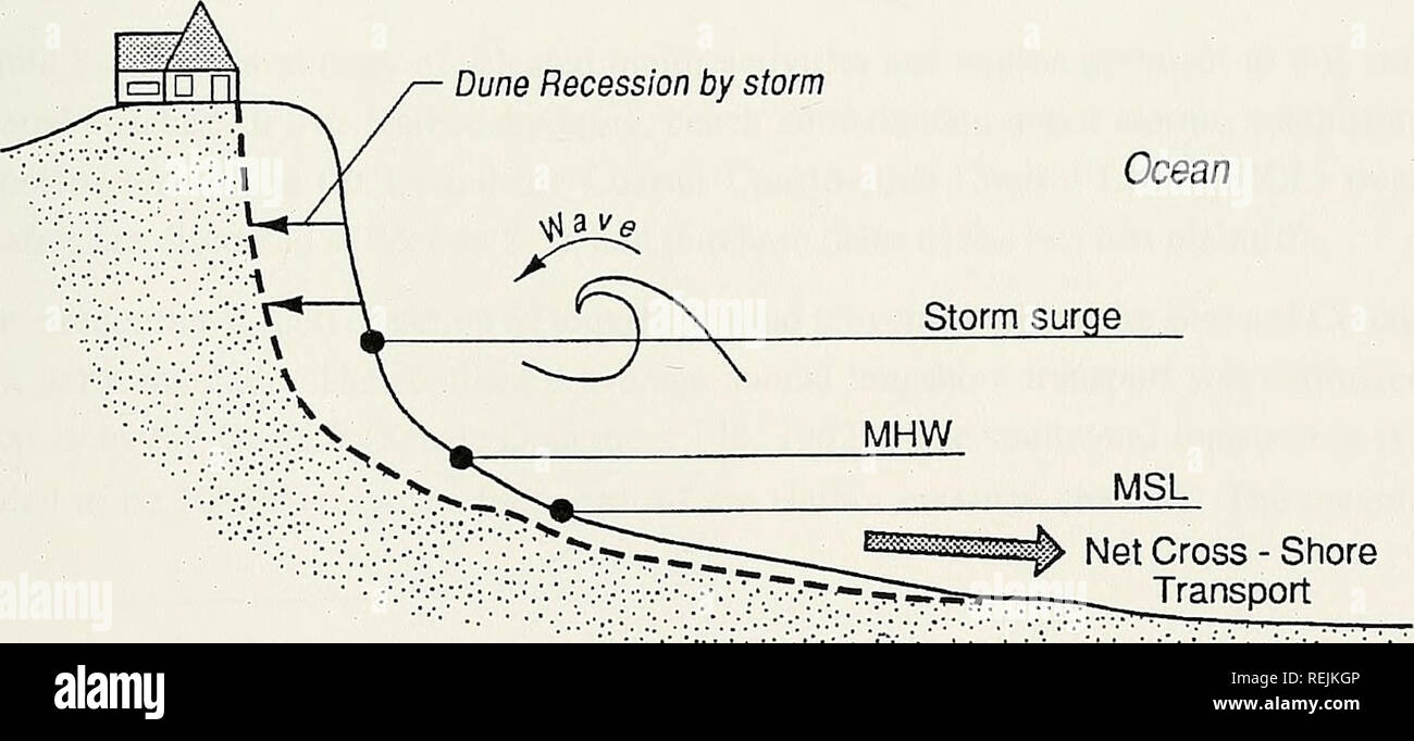 Waves To Shore Diagram