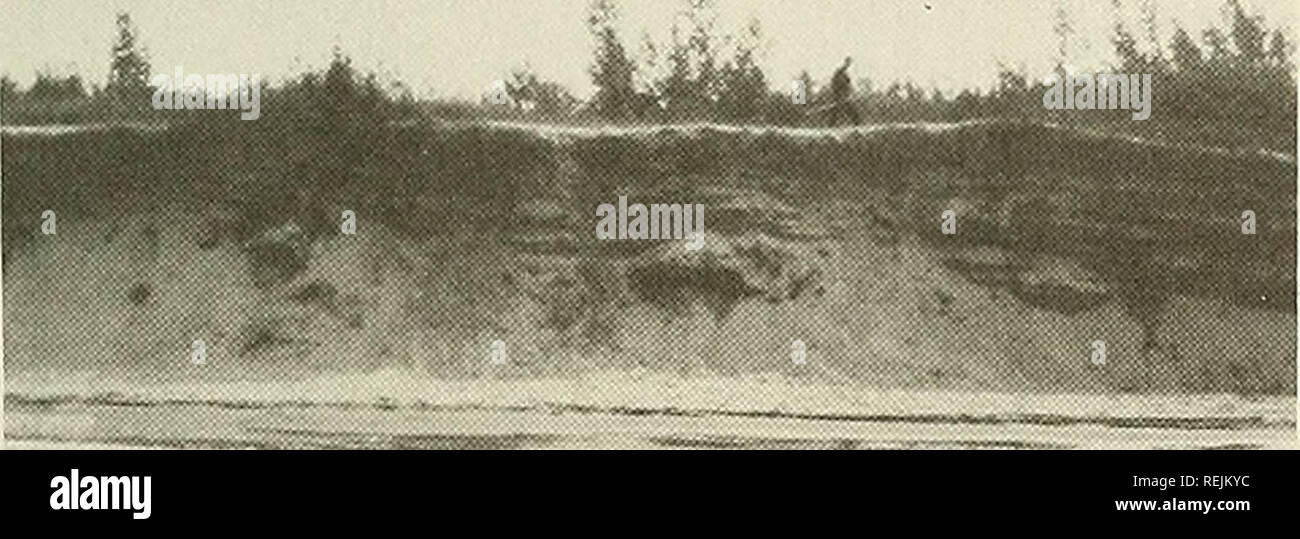 . Coastal changes, eastern Lake Michigan, 1970-1974. Coast changes. 9 ...