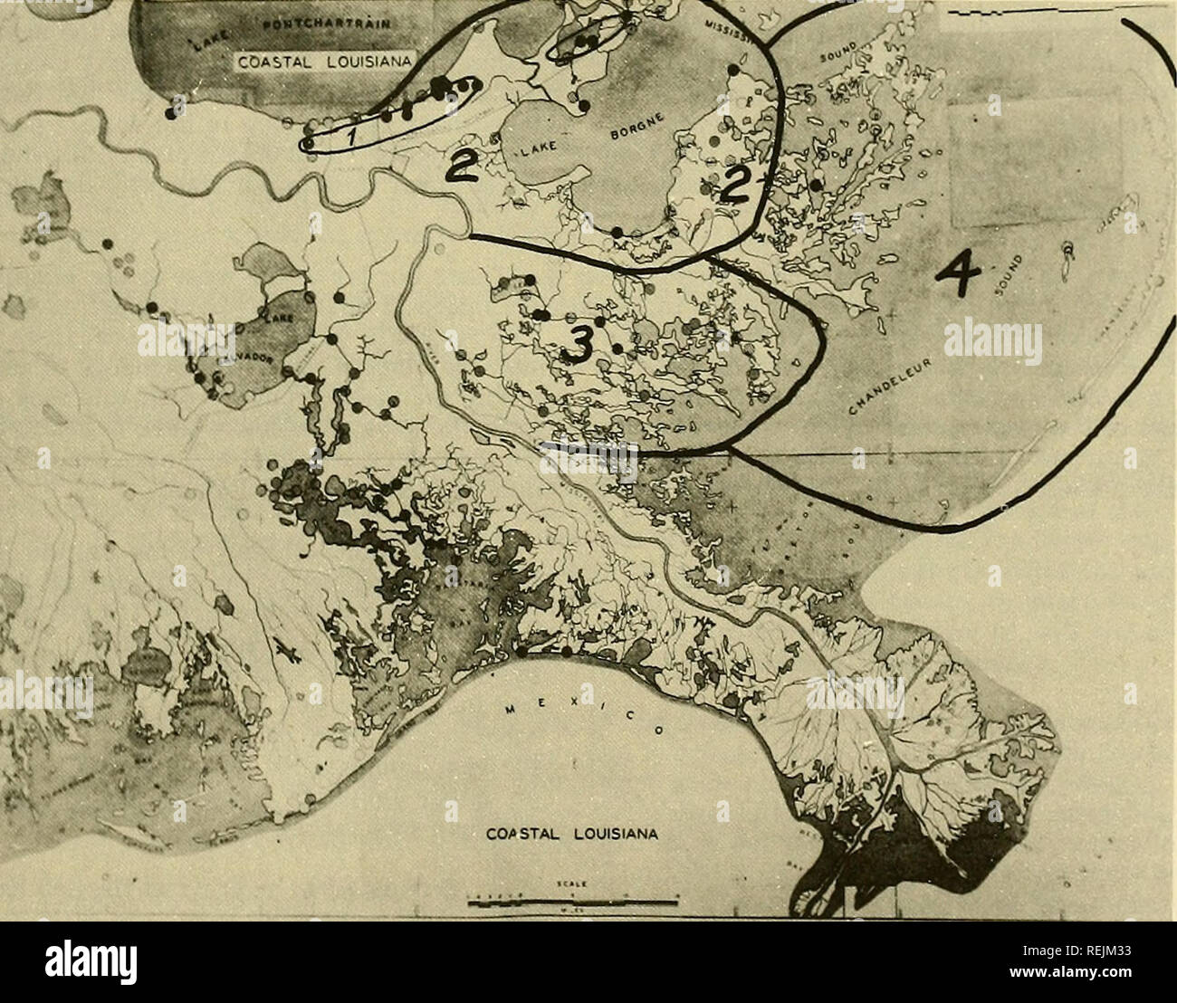 . Coastal Geography Conference. Coasts. TREADWELL 35 HISTORY OF DELTAIC ...