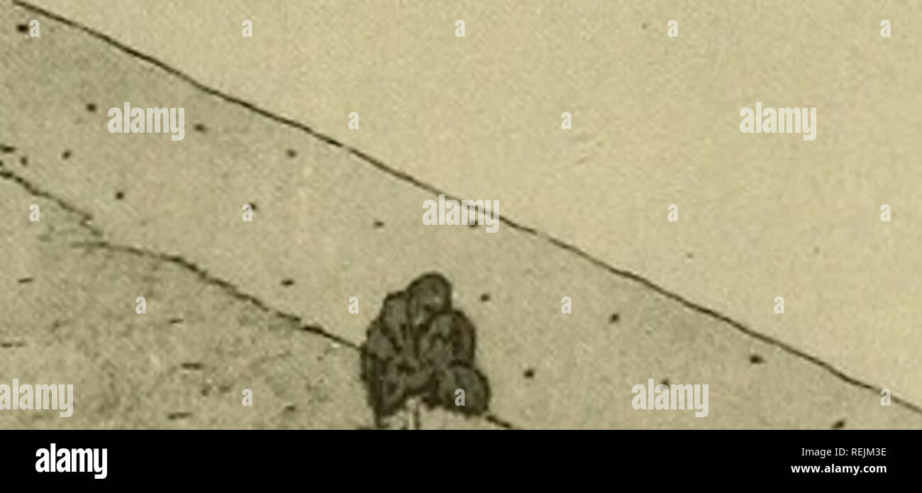 . Coastal Geography Conference. Coasts. TREADWELL 33 maximum height is ...