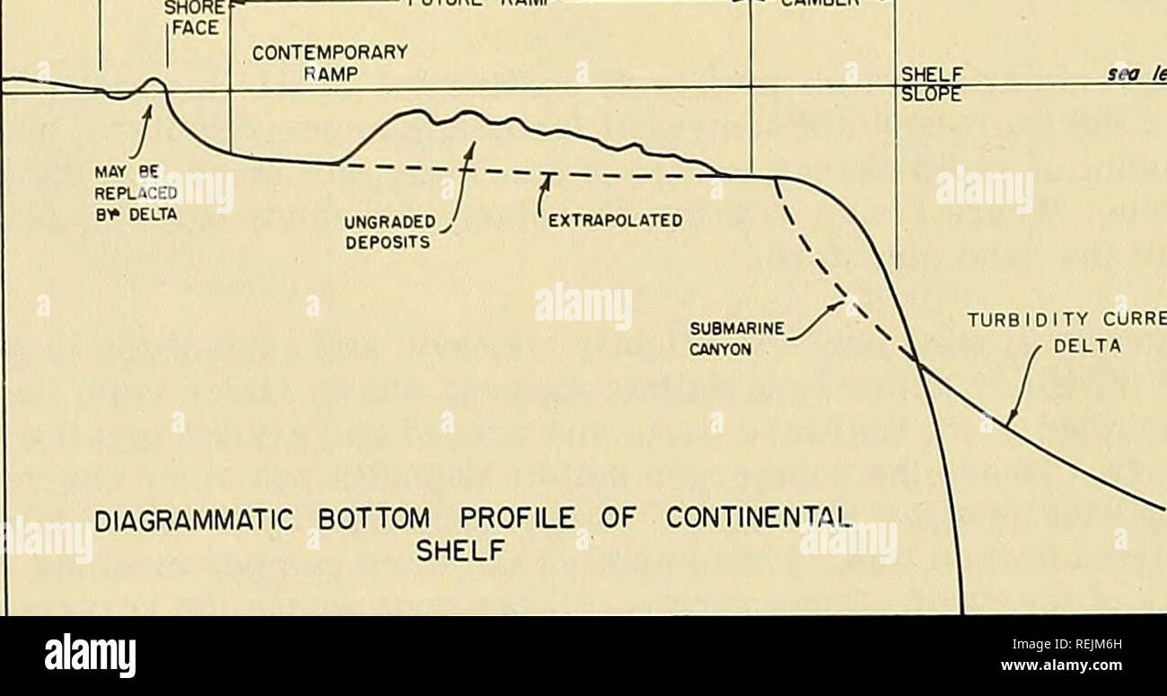 . Coastal Geography Conference. Coasts. 22 PRICE I use the terms ...