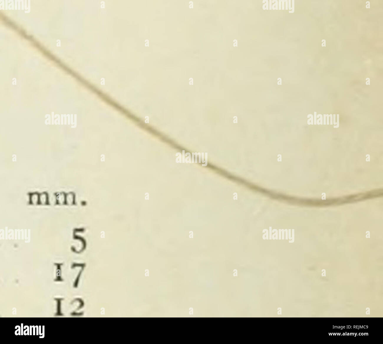 . The coal measures Amphibia of North America. Amphibians, Fossil ...