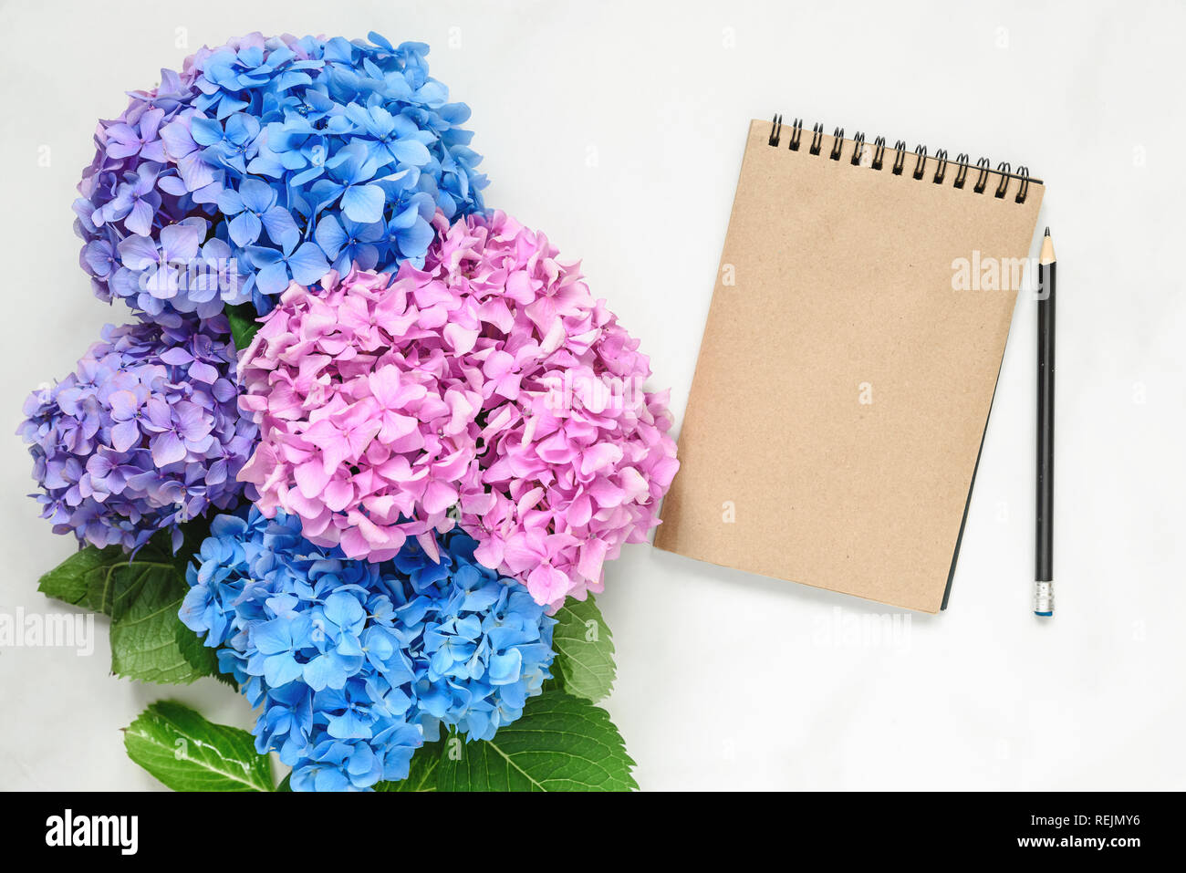 blank vintage paper notebook withblue and pink hydrangea flowers over ...