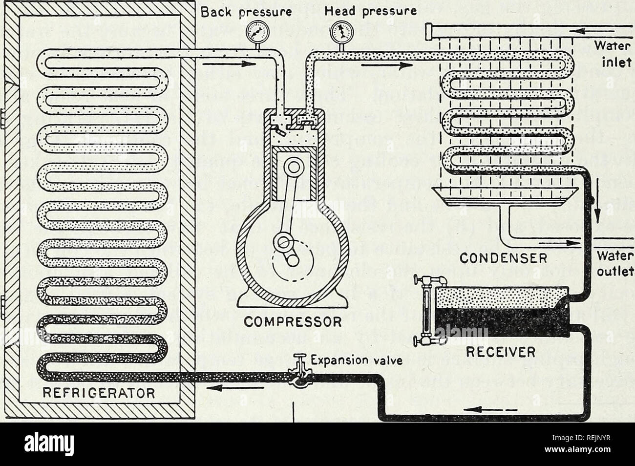 . Cold storage for apples and pears. Apples Storage; Pear Storage; Cold ...