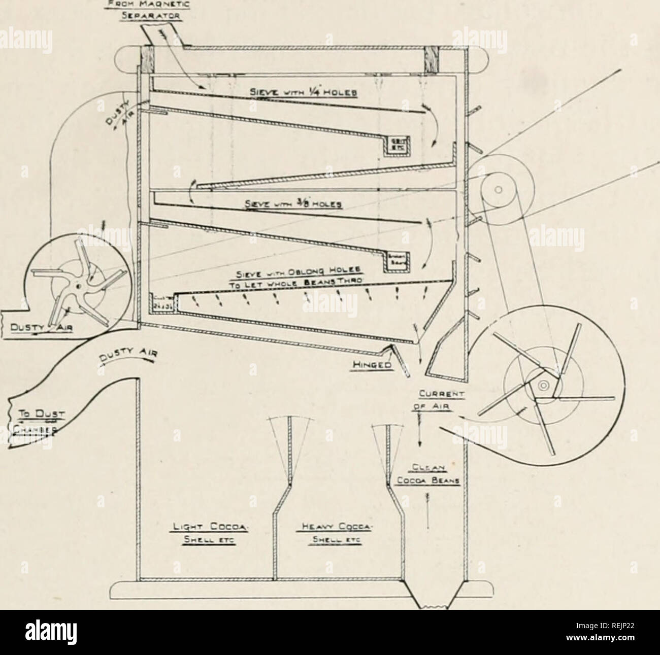 Cacao beans cleaning hi-res stock photography and images - Alamy