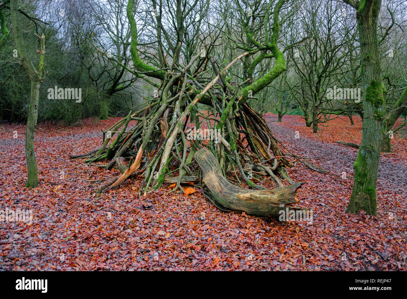 Woodland Shelter - Burton's Bushes, Beverley, East Yorkshire Stock ...