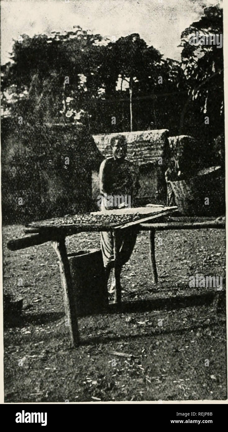 Loads Of Chocolate High Resolution Stock Photography and Images - Alamy