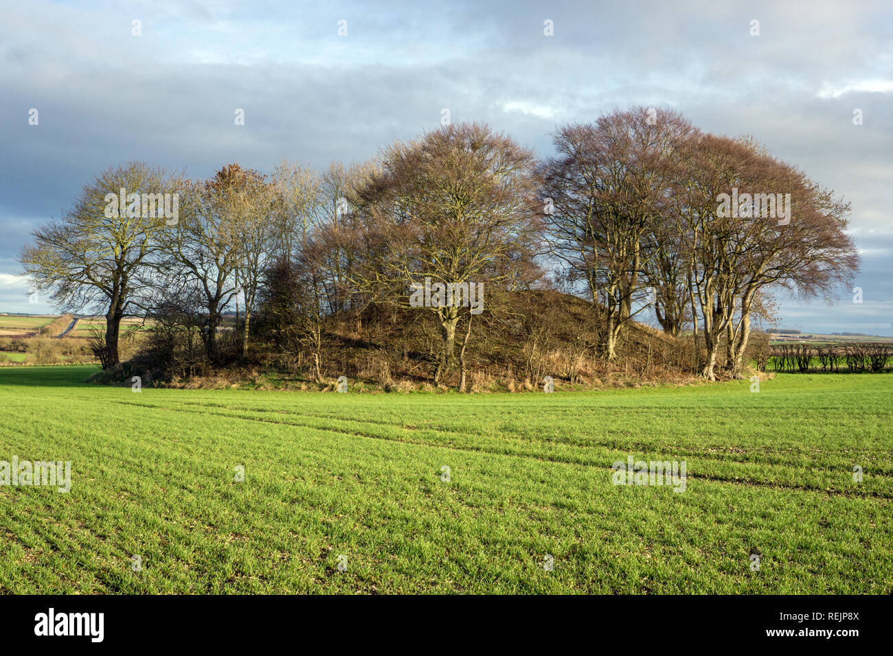 Willy howe yorkshire hi-res stock photography and images - Alamy