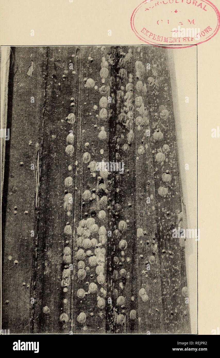 Edwin bingham hi-res stock photography and images - Alamy