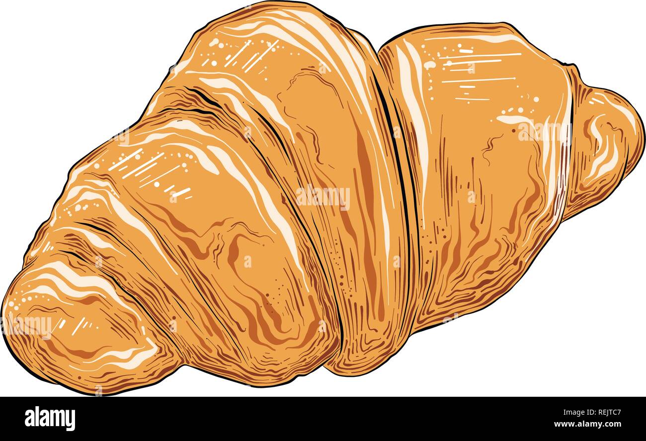 Hand drawn sketch of croissant in color isolated on white background. Detailed vintage style ...