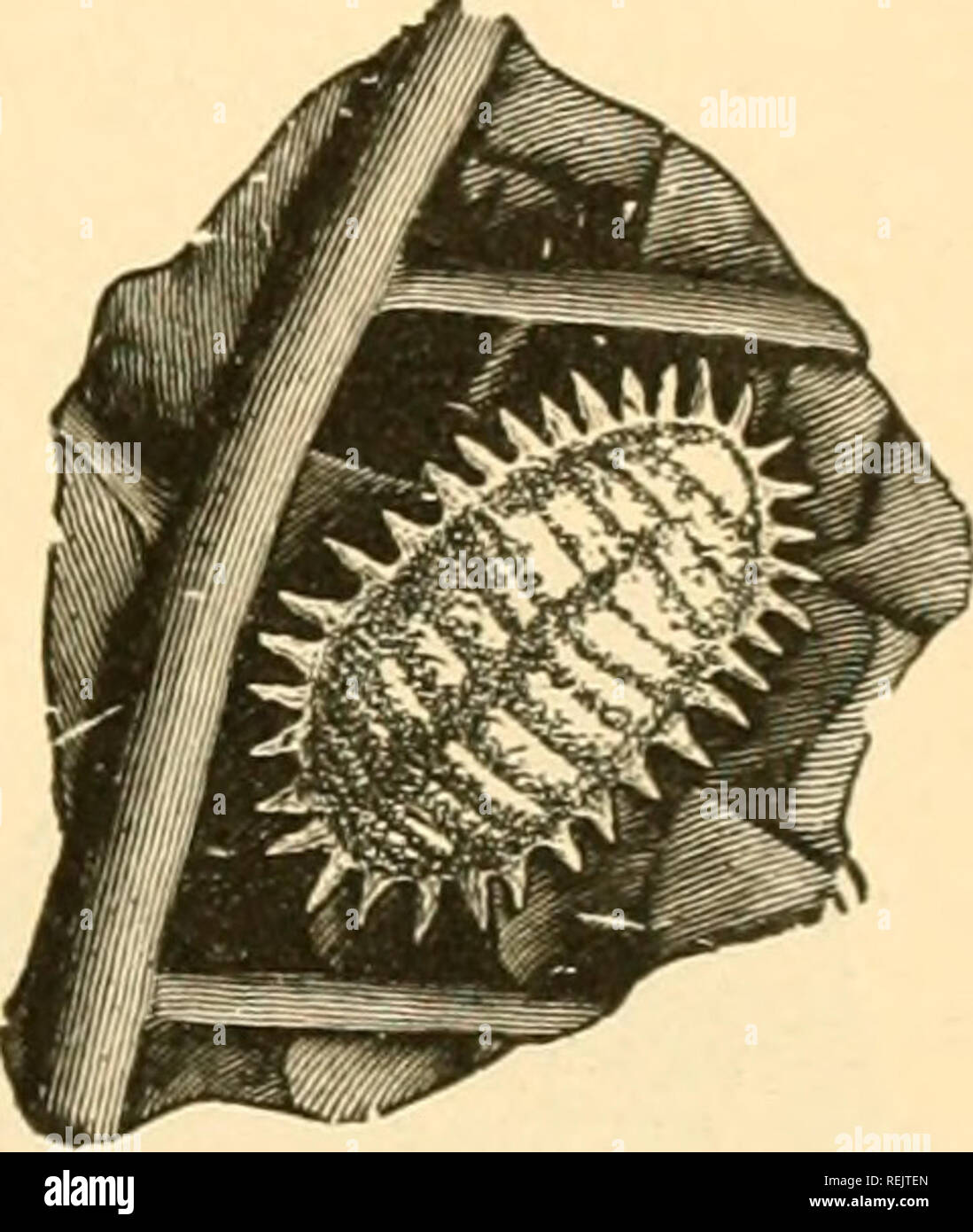 3 different formula hi-res stock photography and images - Alamy