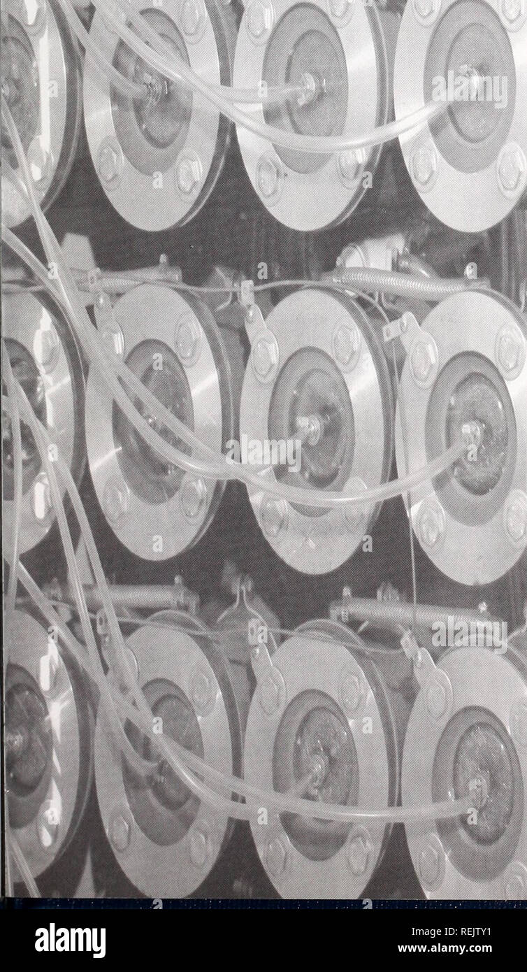 Ballast water management hi-res stock photography and images - Alamy