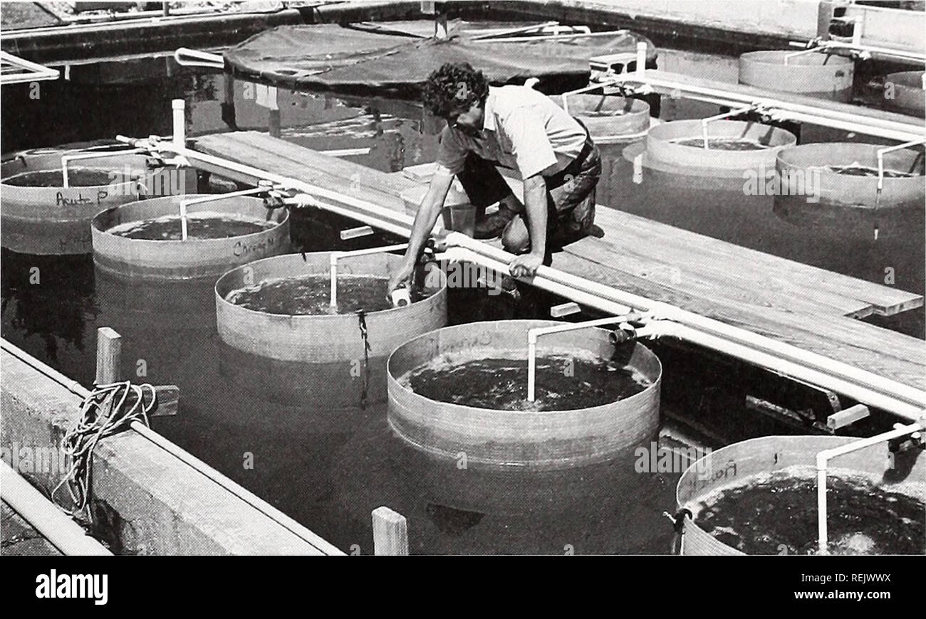 Oxygen depletion hi-res stock photography and images - Alamy