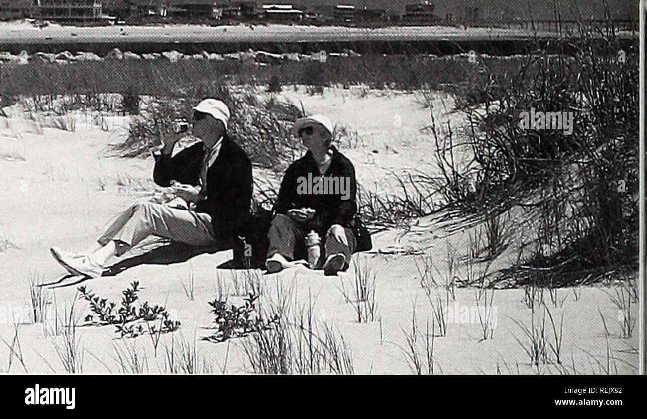 Parallel swim hi-res stock photography and images - Alamy