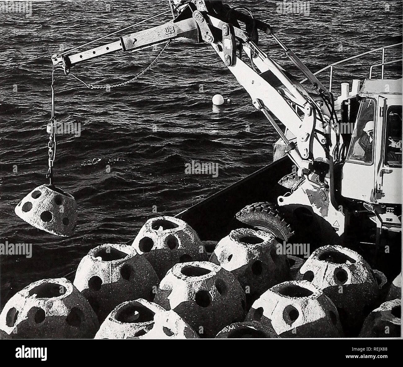 . Coast watch. Marine resources; Oceanography; Coastal zone management ...