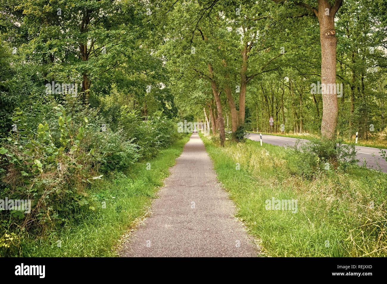 Sideway of countryside road in summer nature. Footpath with green trees ...