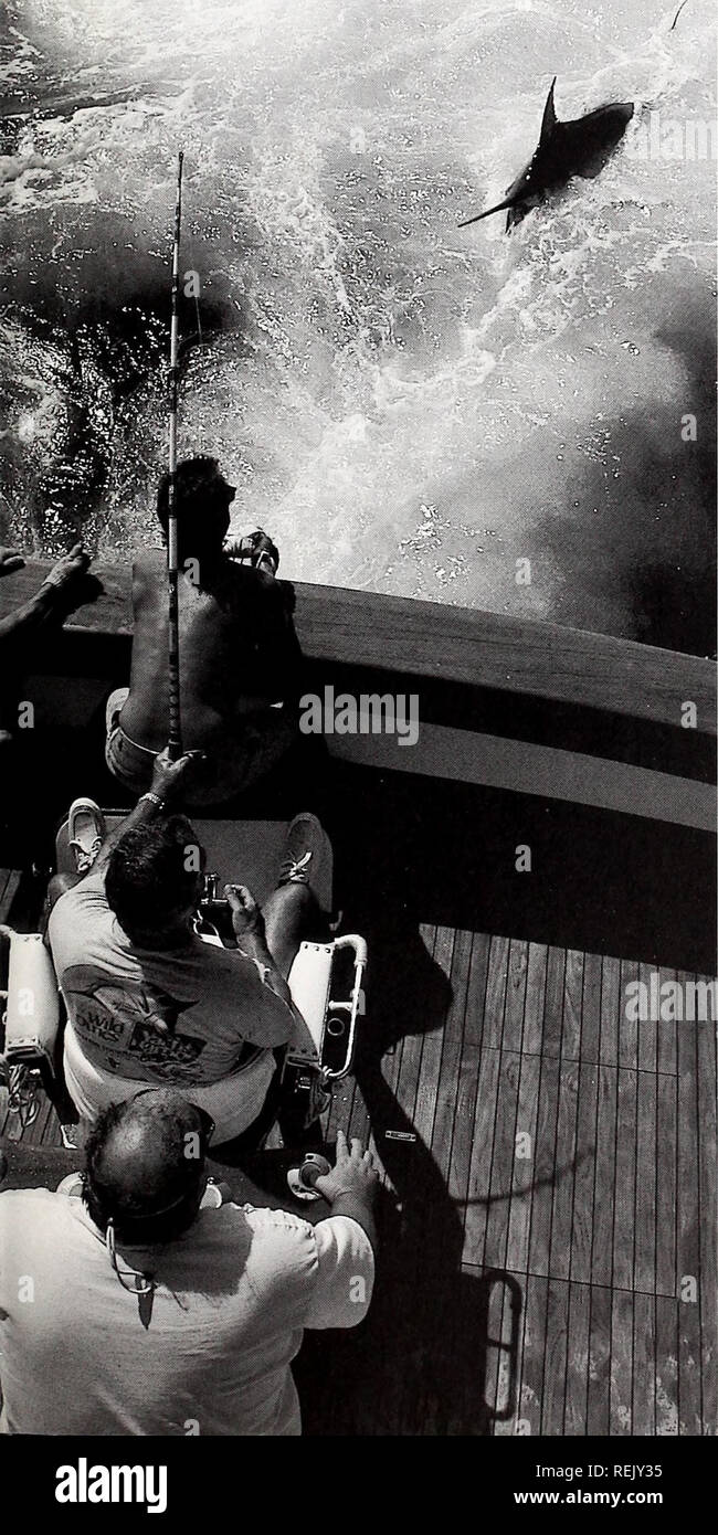 Phoenix rising from ashes hi-res stock photography and images - Alamy