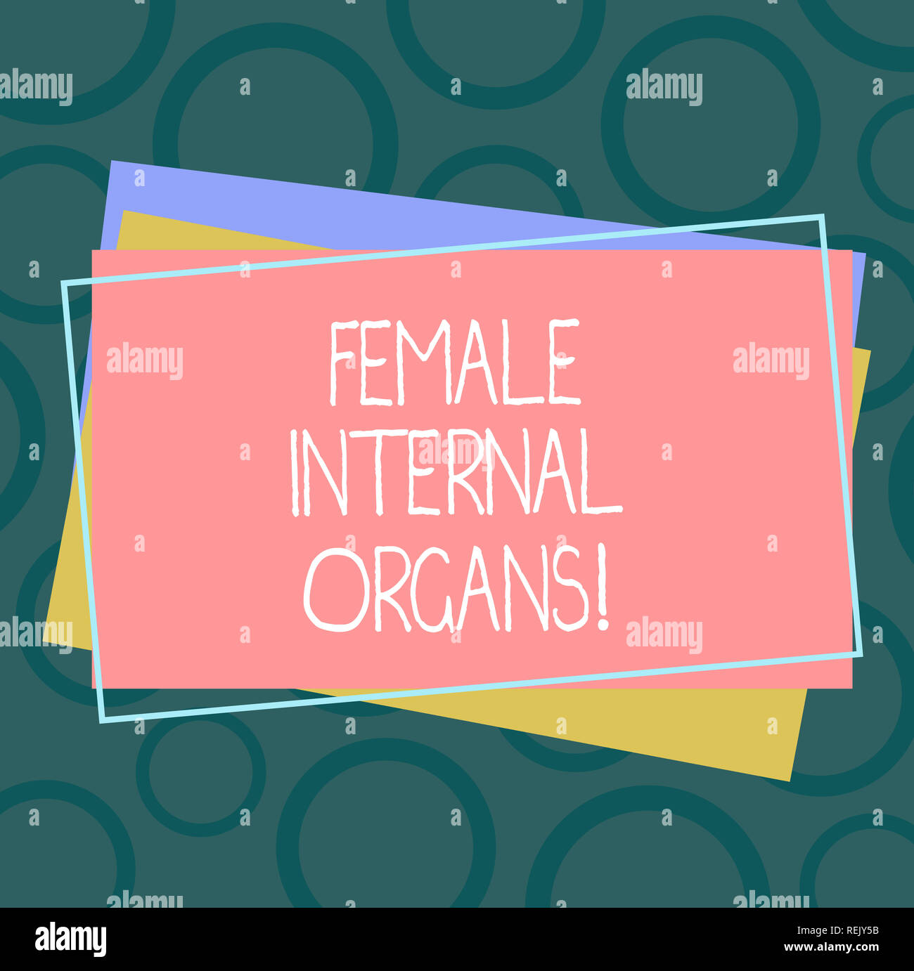 Handwriting text Female Internal Organs. Concept meaning The internal ...
