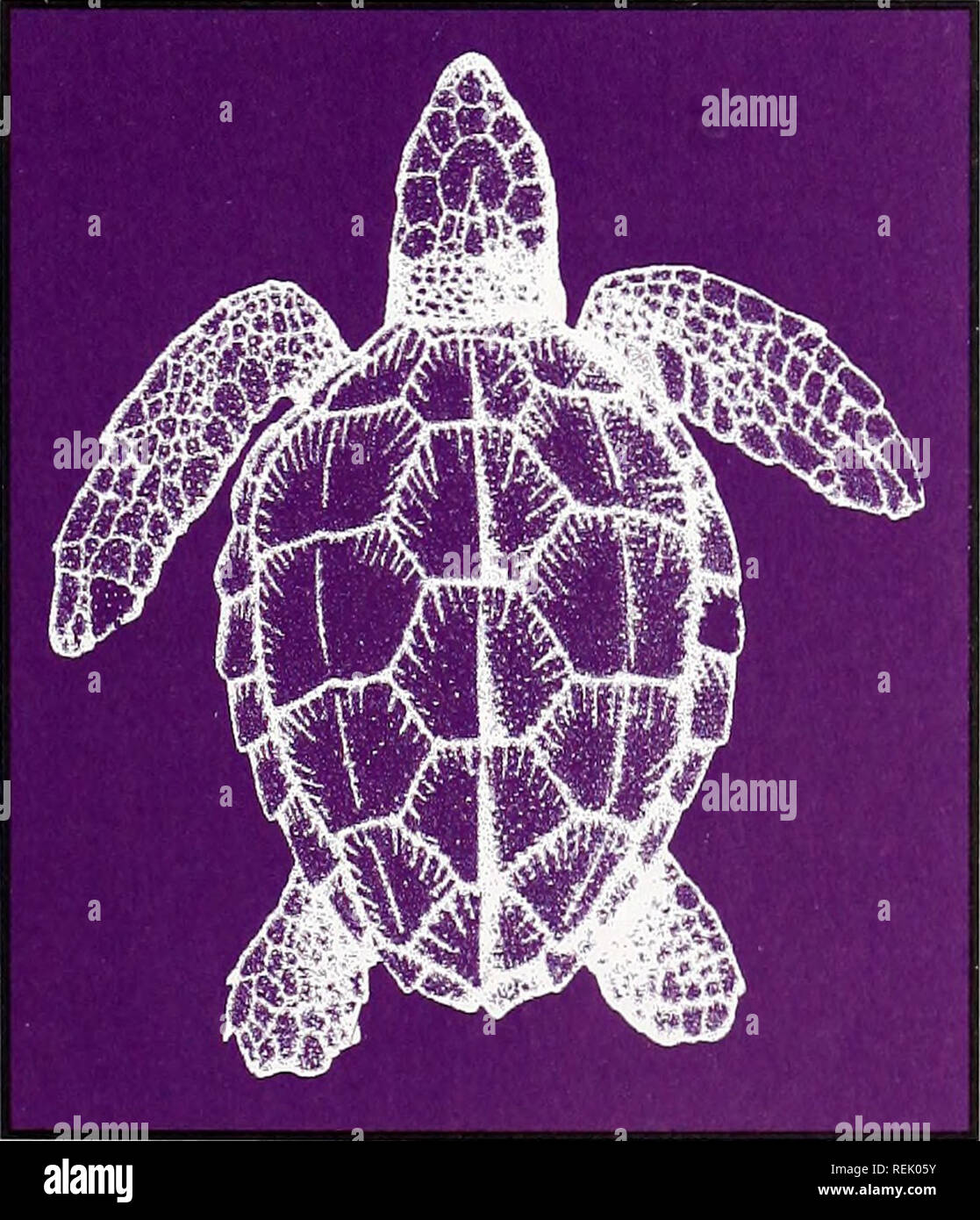 . Coast watch. Marine resources; Oceanography; Coastal zone management ...