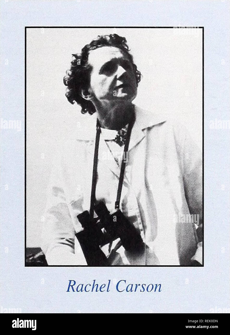 . Coast watch. Marine resources; Oceanography; Coastal zone management ...