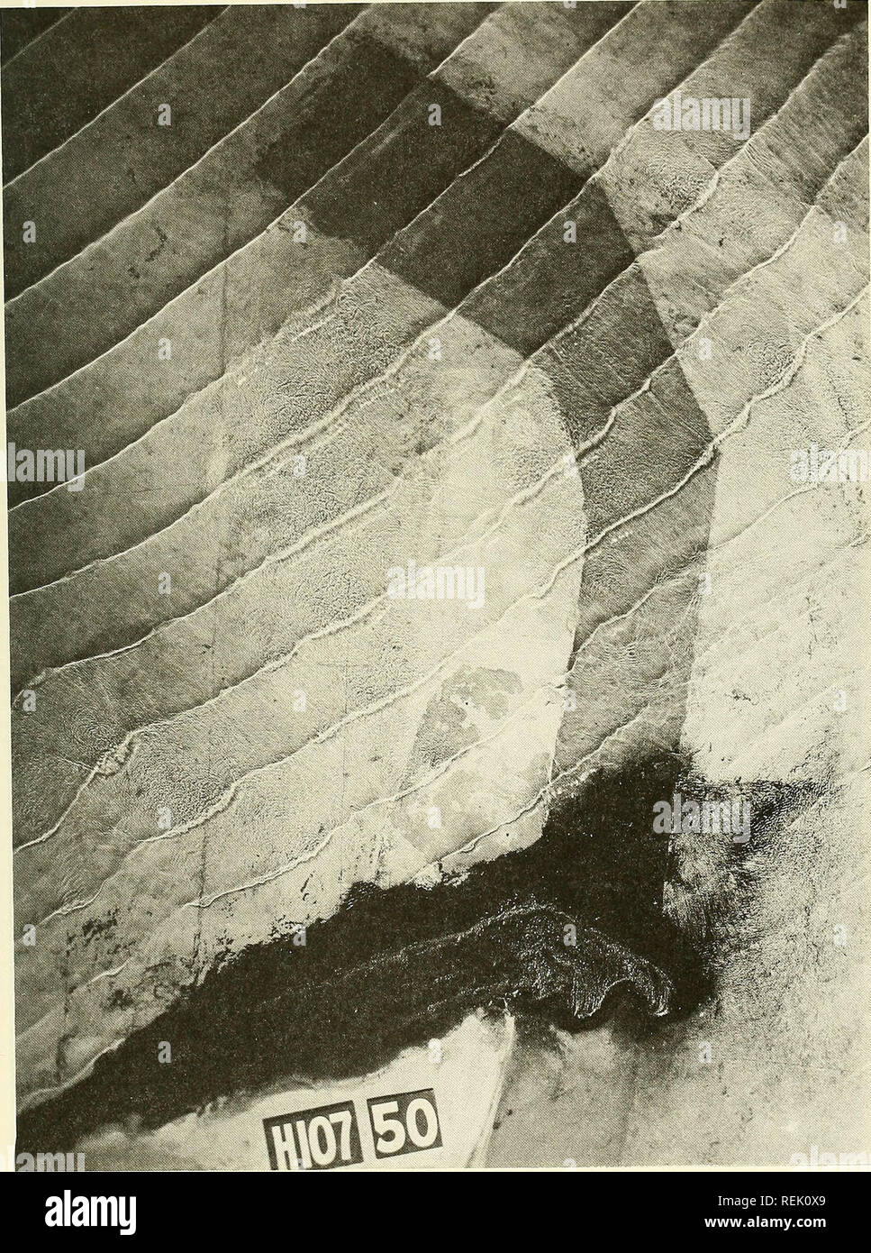 . Coastal hydraulic models. Hydraulic models. Figure 5-6. Typical ...