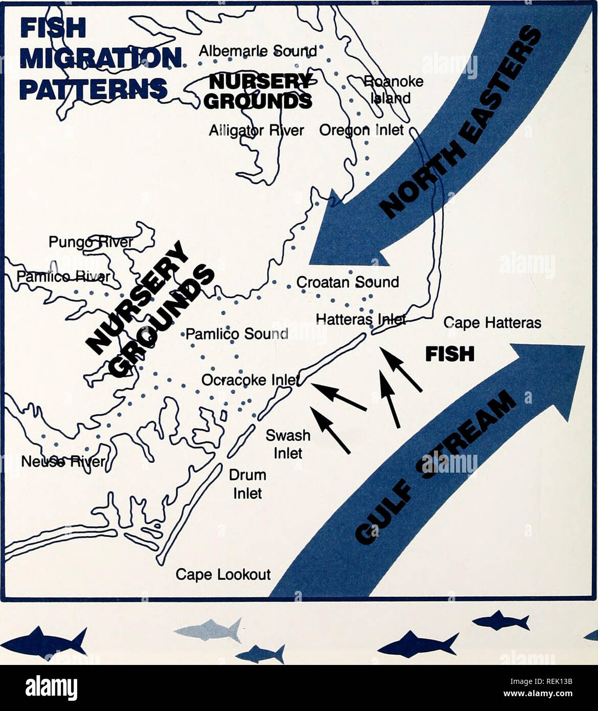 . Coast watch. Marine resources; Oceanography; Coastal zone management ...