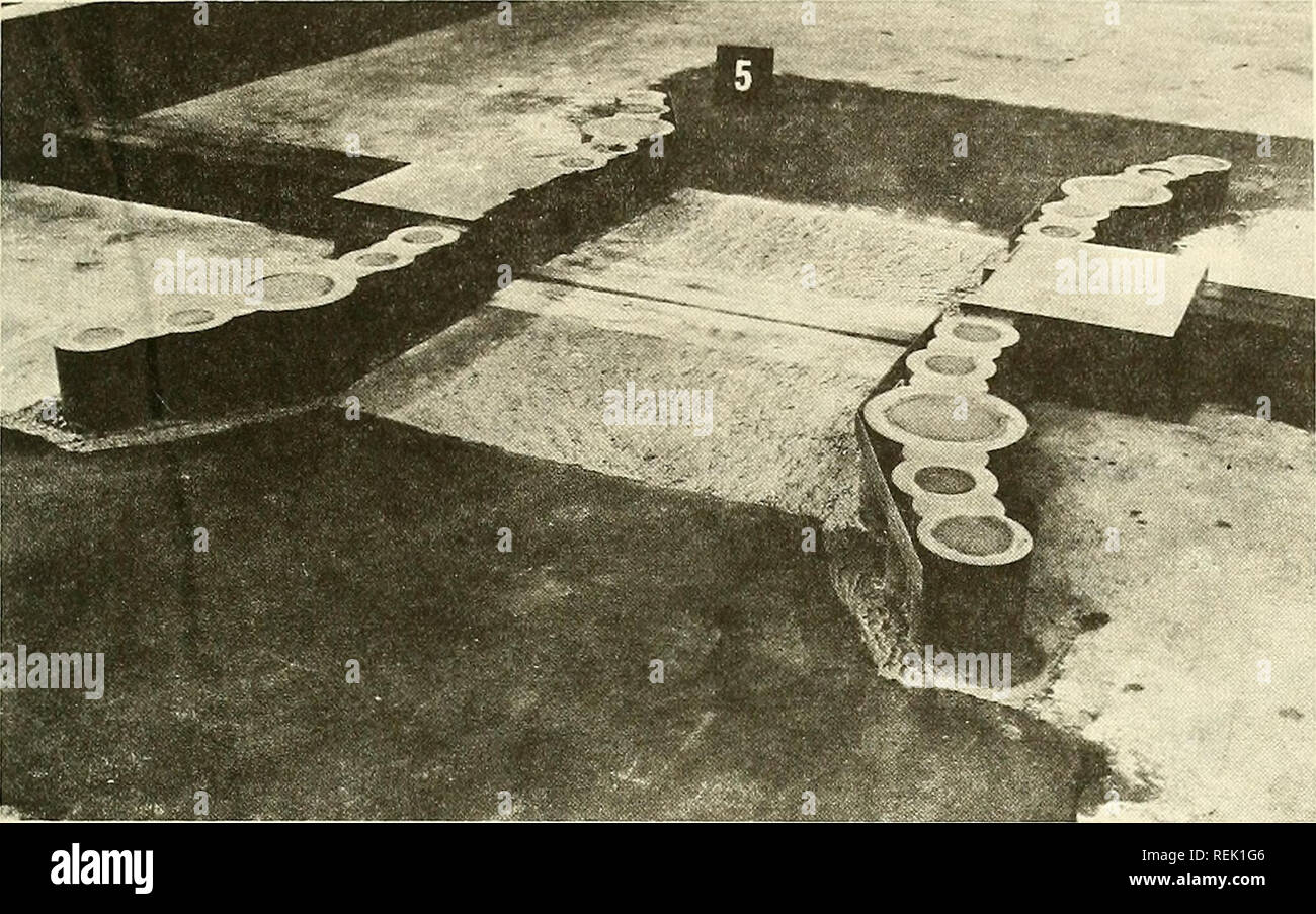 . Coastal hydraulic models. Hydraulic models. ALPHA PLAN, UNDISTORTED ...