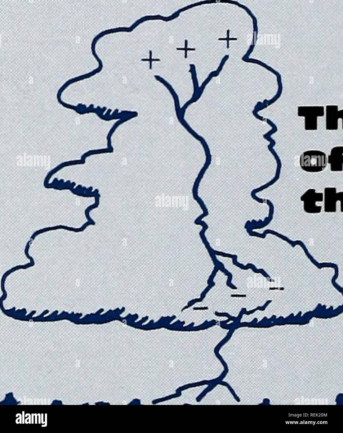 . Coast watch. Marine resources; Oceanography; Coastal zone management ...