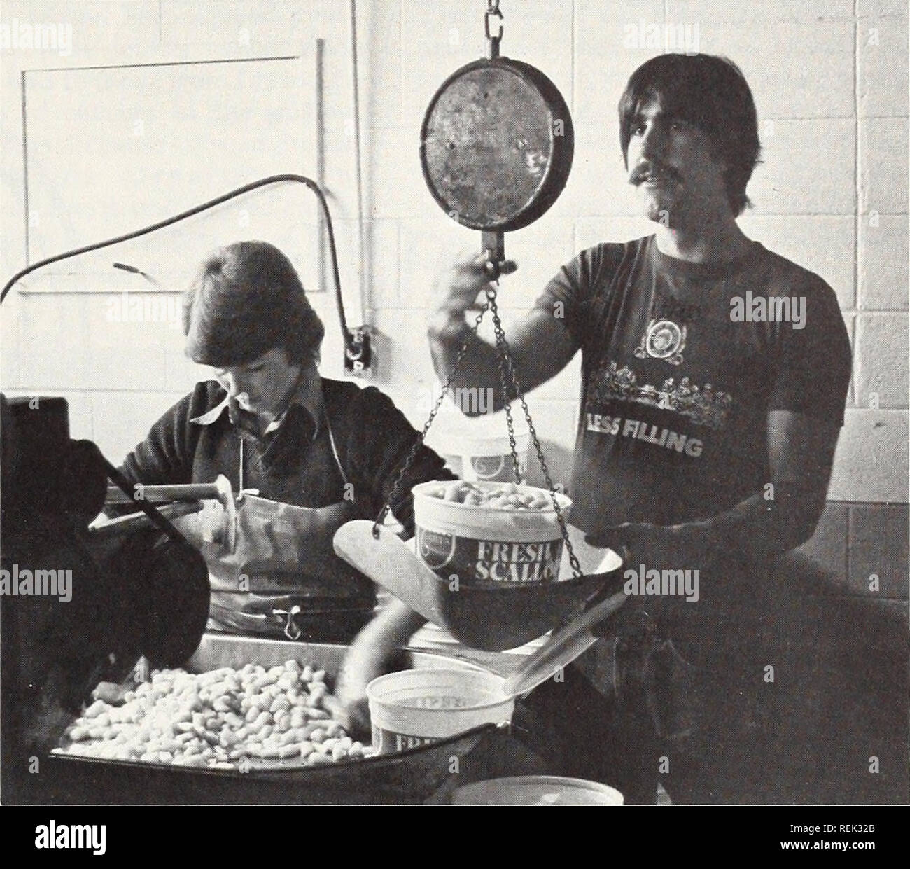 Shucking scallops hi-res stock photography and images - Alamy