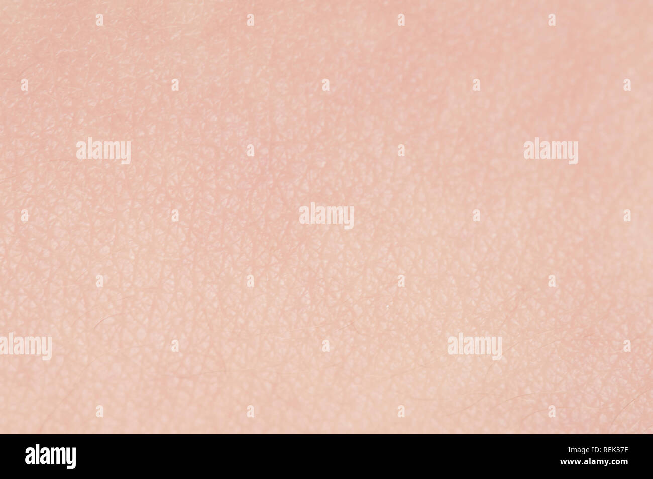 Baby Skin Texture