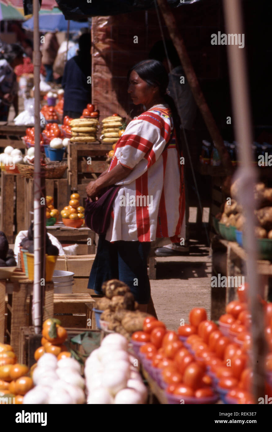 Tzeltal indigenous people hi-res stock photography and images - Alamy