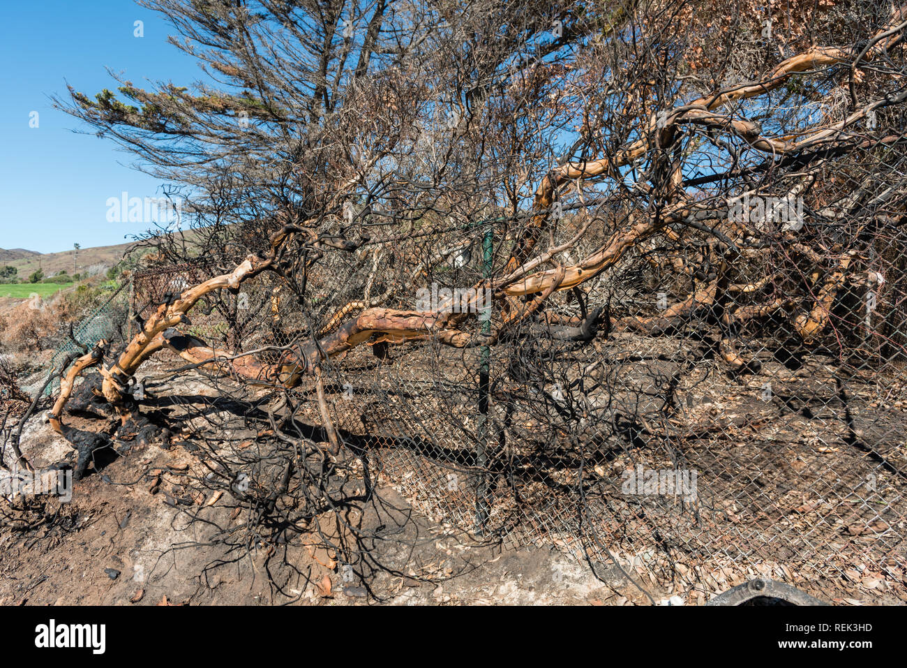 Aftermath of the Woolsey fire at the Nicholas Canyon Beach in Malibu ...